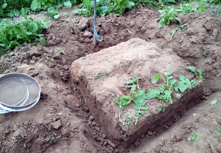 基层工作-潘集区人民政府